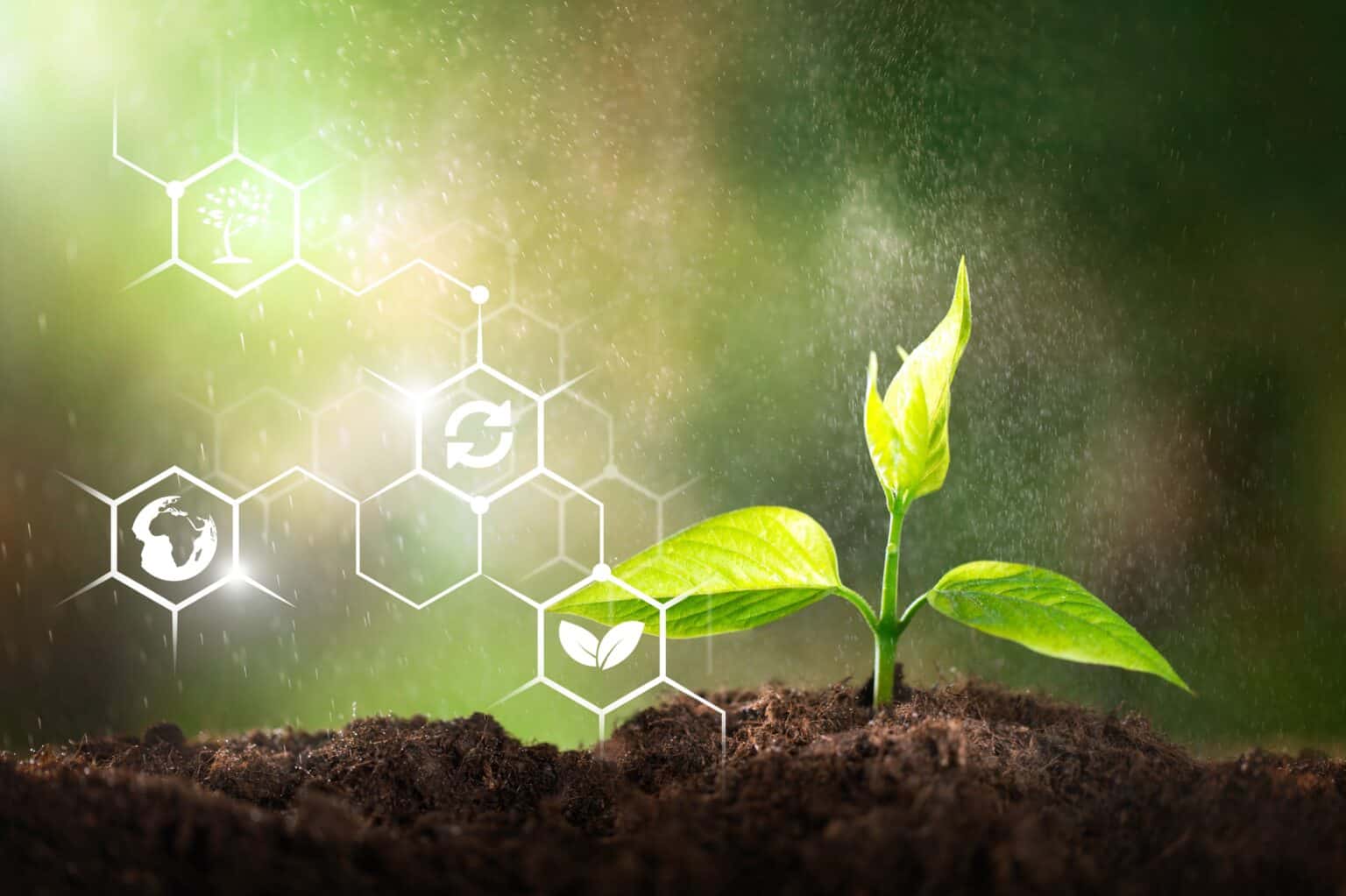 Environmental Awareness Days and Events Calendar - Going Greener Today